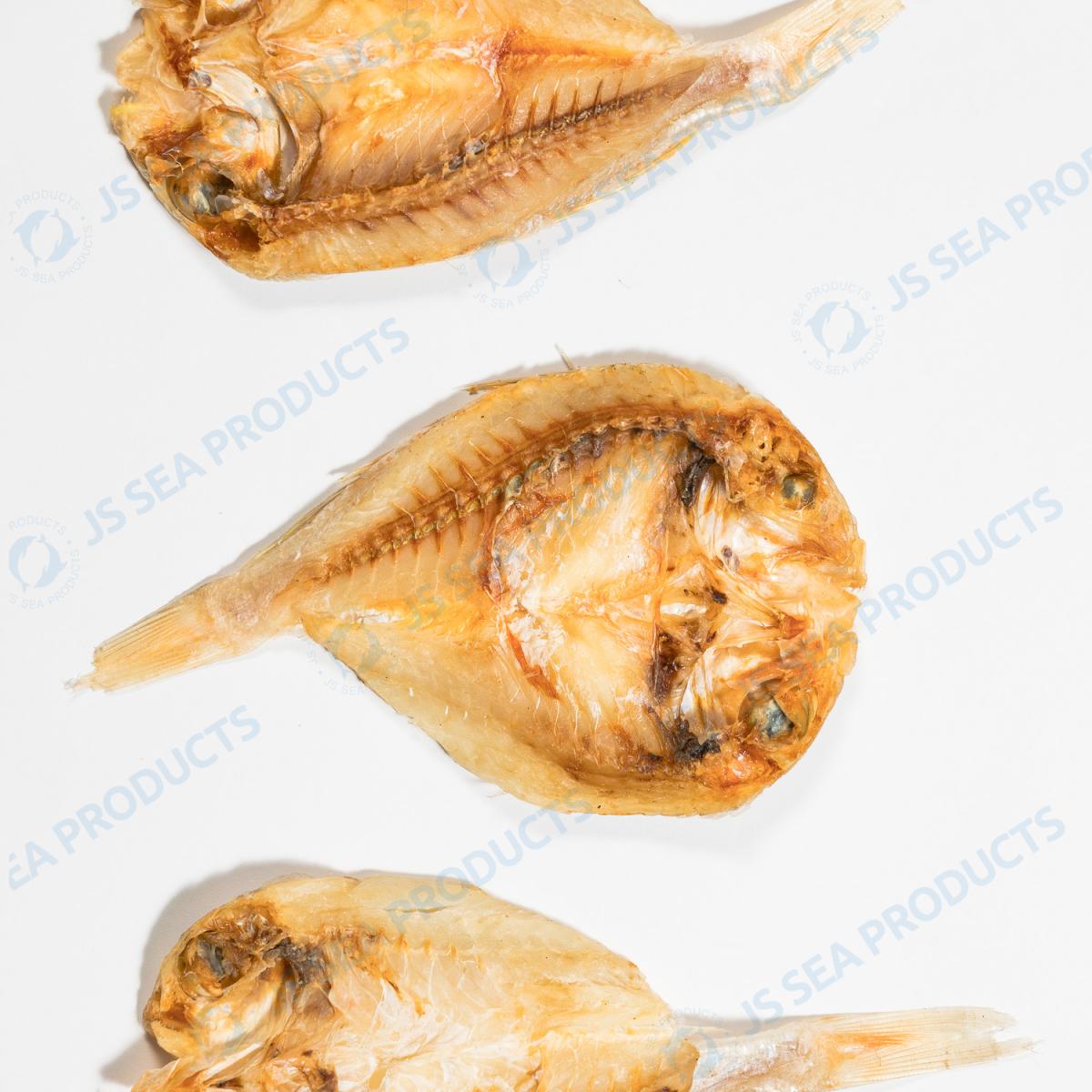 Bisugo | JS SEA PRODUCTS