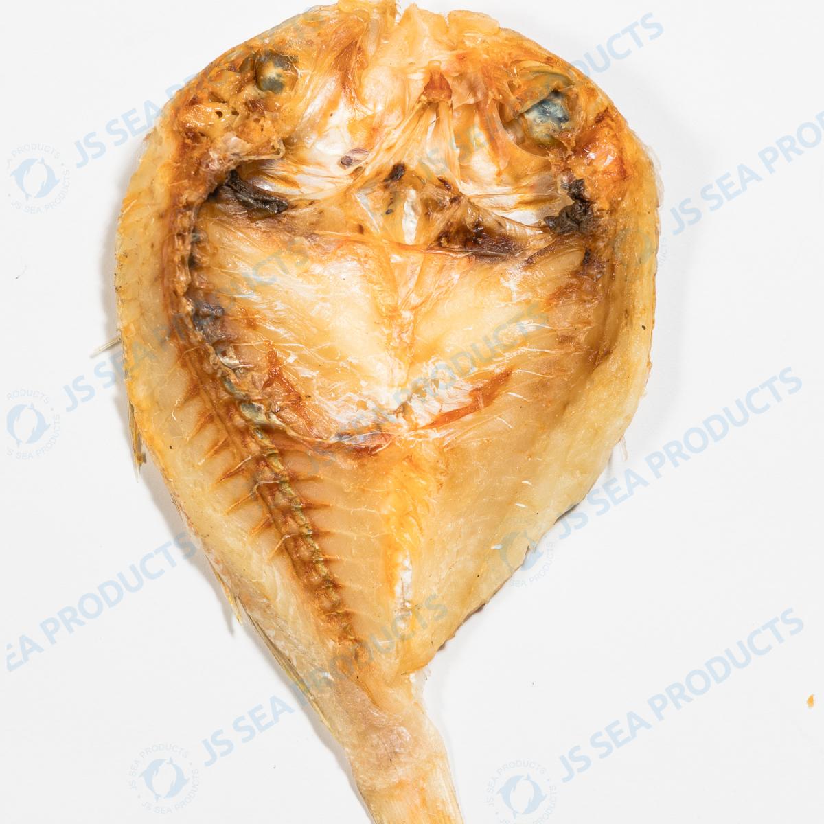 Bisugo | JS SEA PRODUCTS